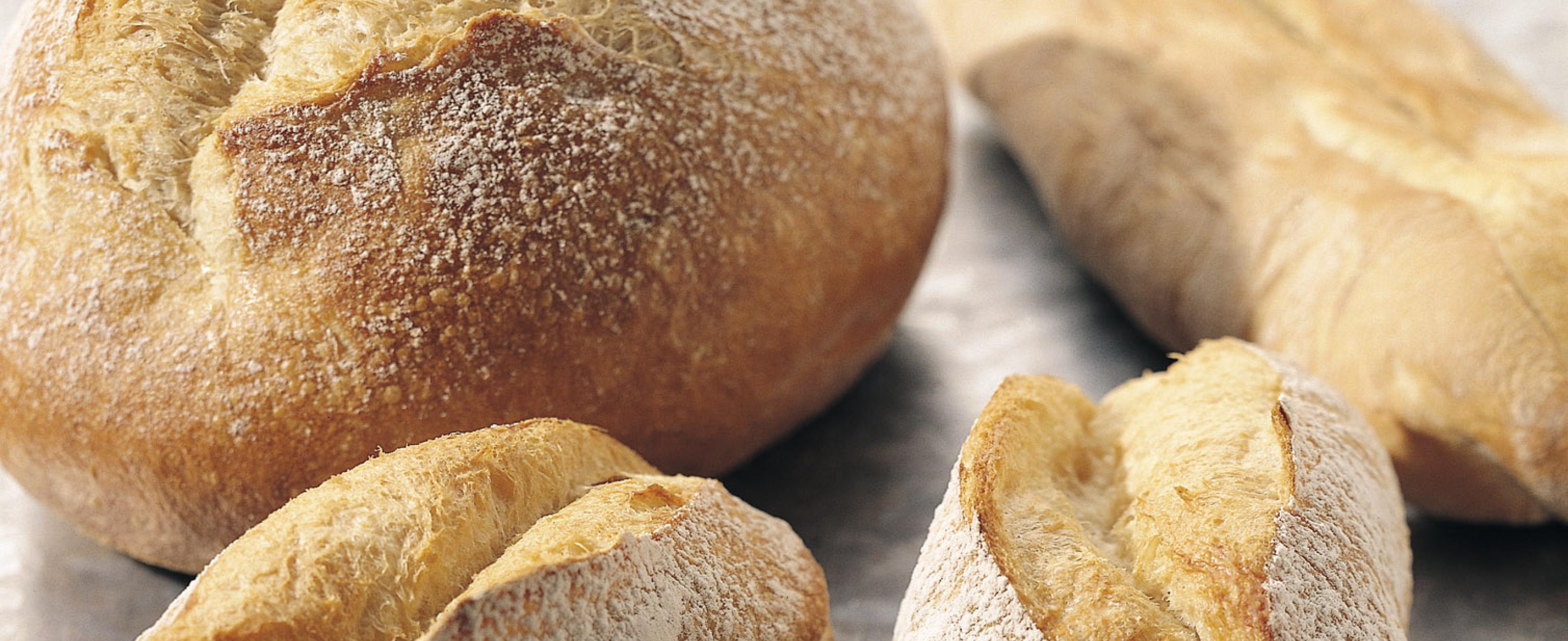 Bread solutions | Zeelandia