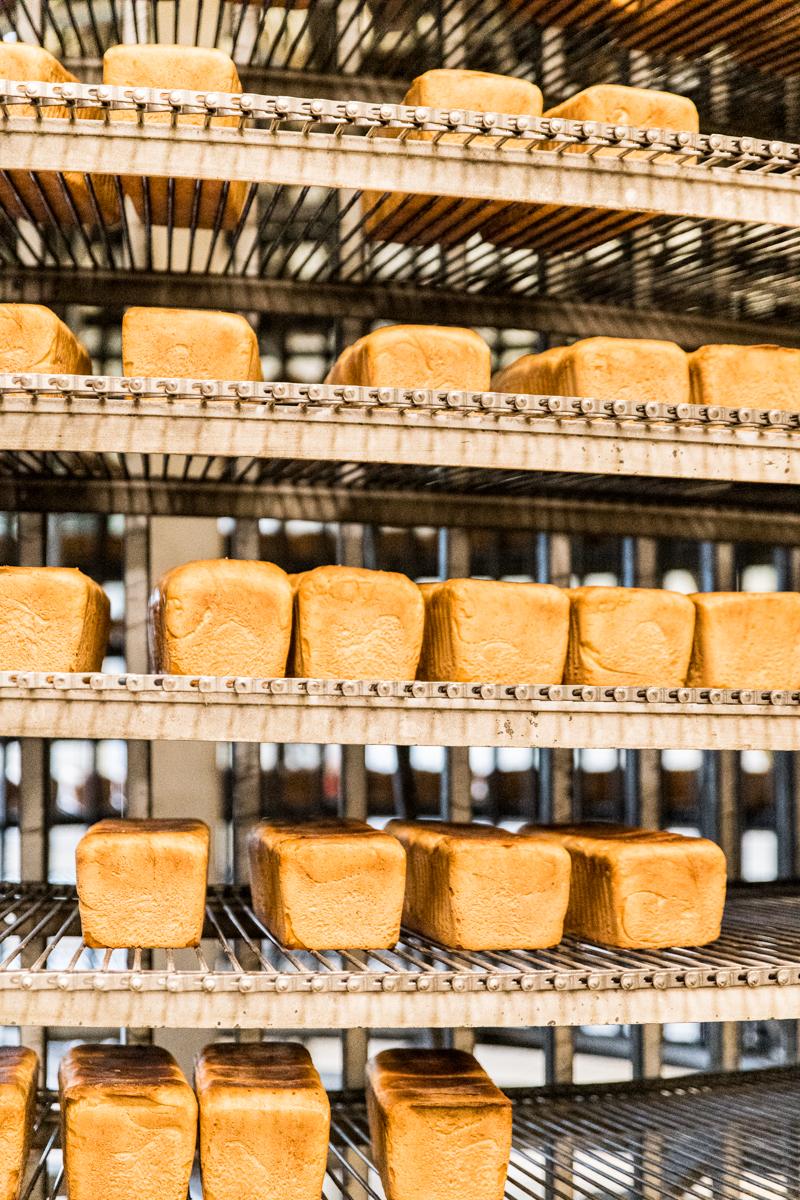 About zeelandia | Zeelandia